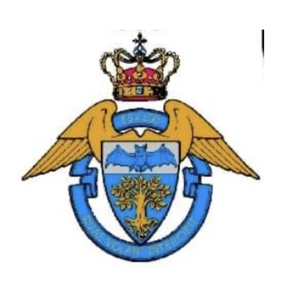 Politi med efterlysning: Kender du denne kasket? - Nyhed24.dk