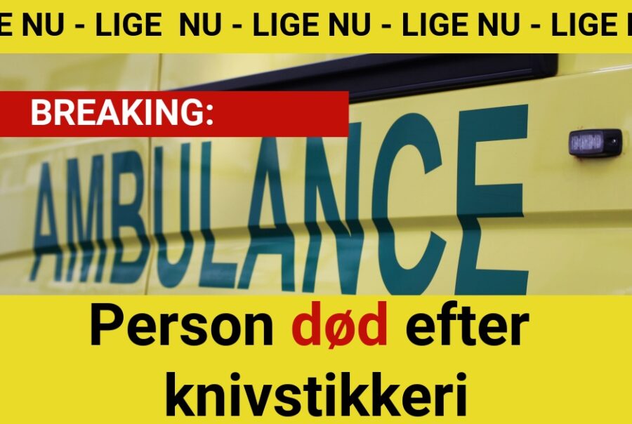 Domstolens støtte til boligudlejer: Opsigelse af lejer med støjende ...