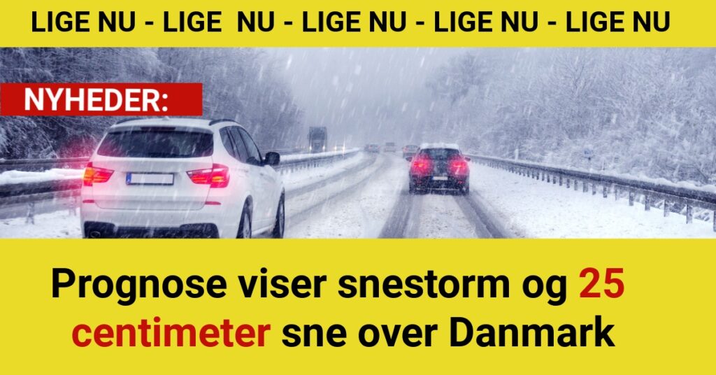 Prognose viser snestorm og 25 centimeter sne over Danmark - Nyhed24.dk