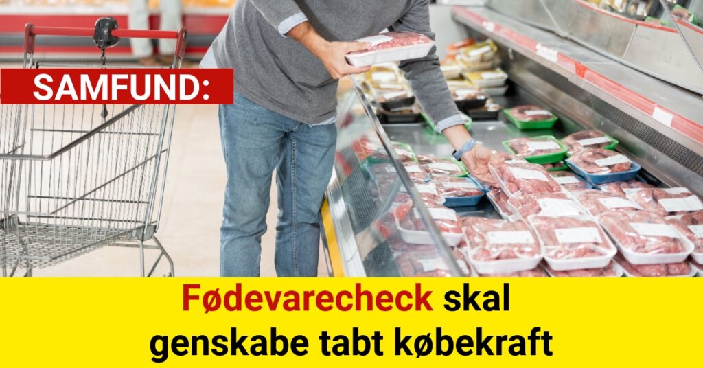 Fødevarecheck skal genskabe tabt købekraft - Nyhed24.dk