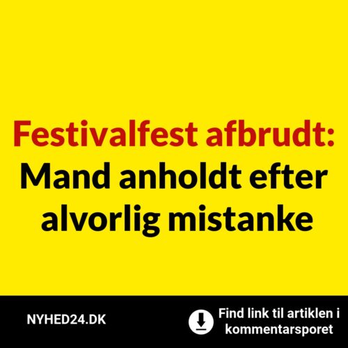Festivalfest afbrudt: Mand anholdt efter alvorlig mistanke - Nyhed24.dk